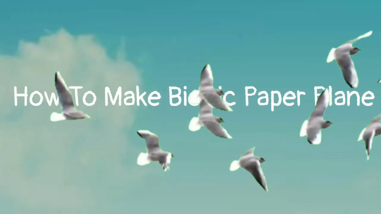 How To Make Awesome Bionic Plane. It Flies Like A Bird😱🤯. | Watch Now ...