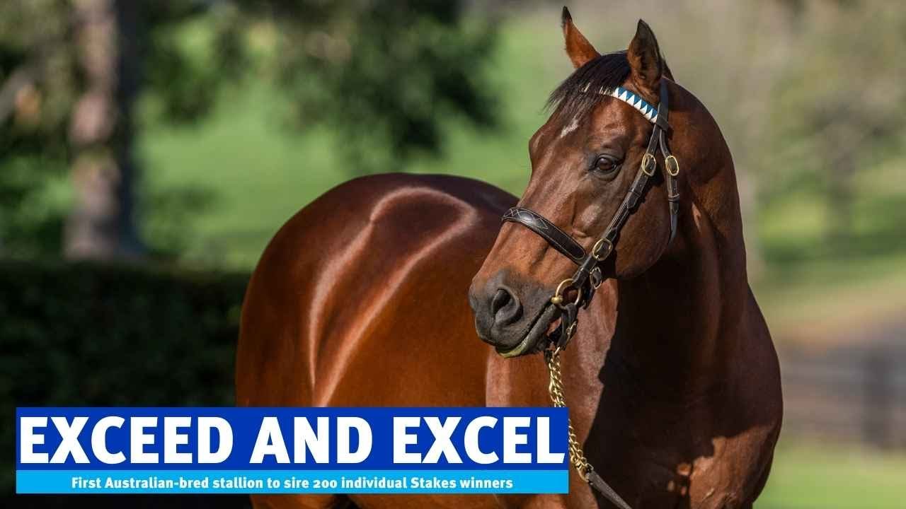 AUS: Exceed And Excel 2022 Stallion Showreel - YouTube