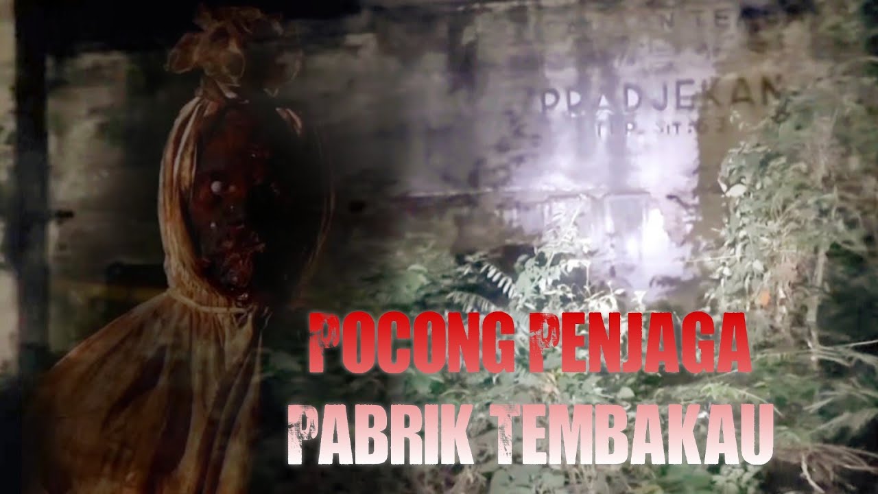 POCONG WEDON PENGHUNI PABRIK TERBENGKALAI - YouTube