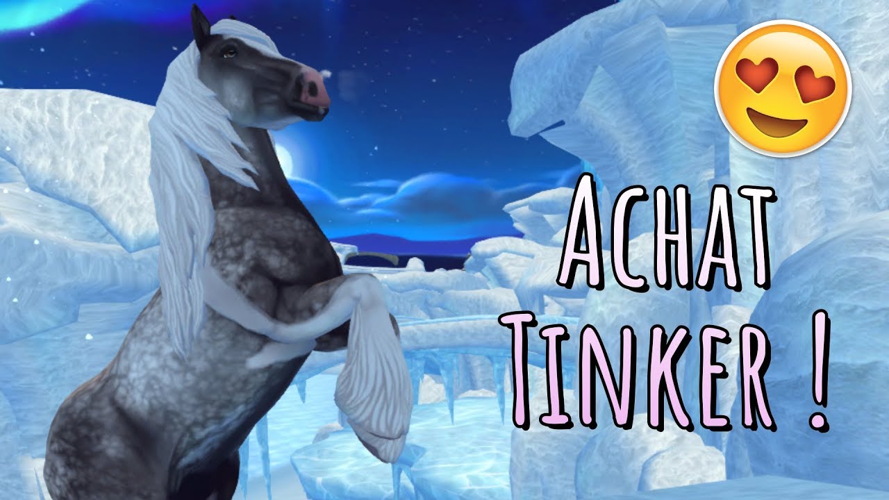 SSO: ACHAT du TINKER ! - YouTube