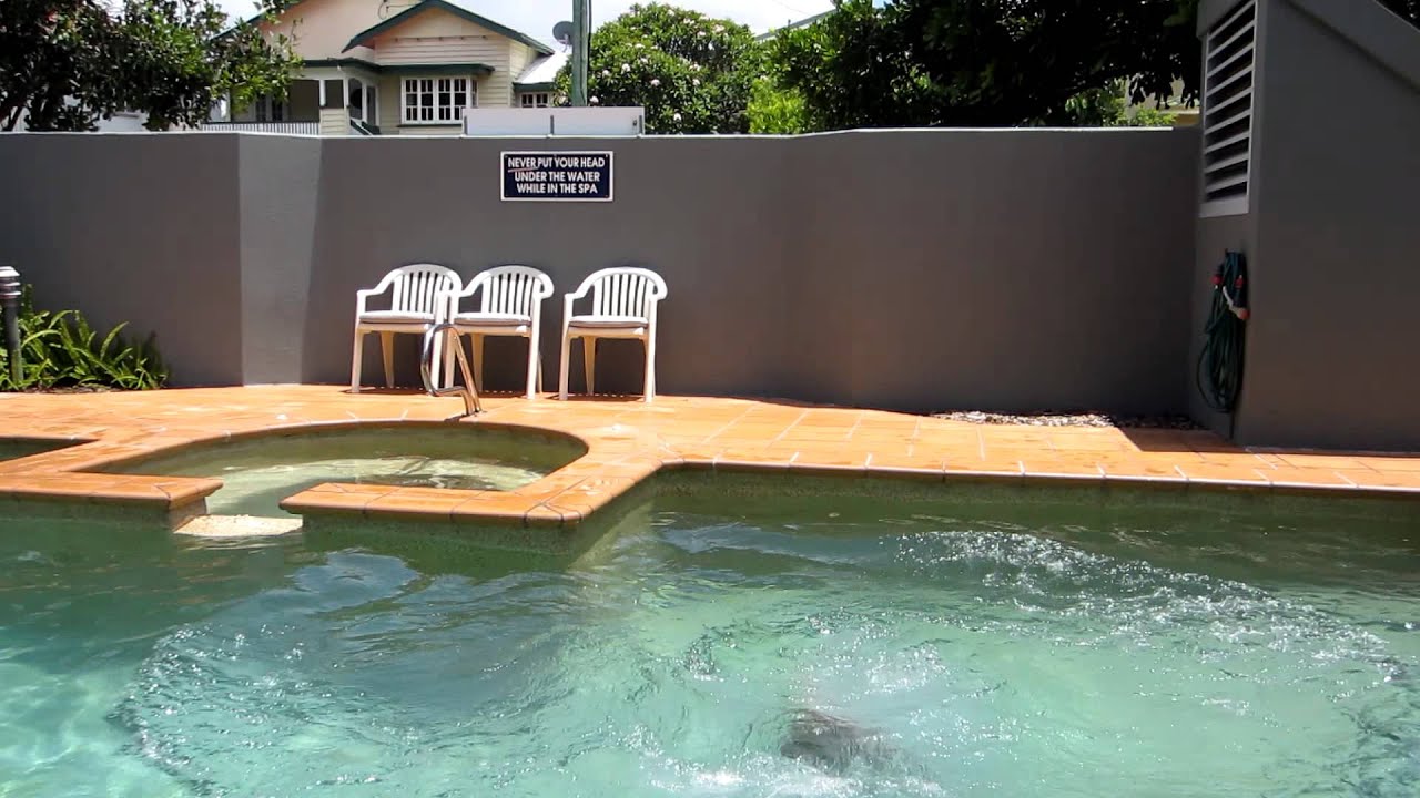 Amelia's Flip - YouTube