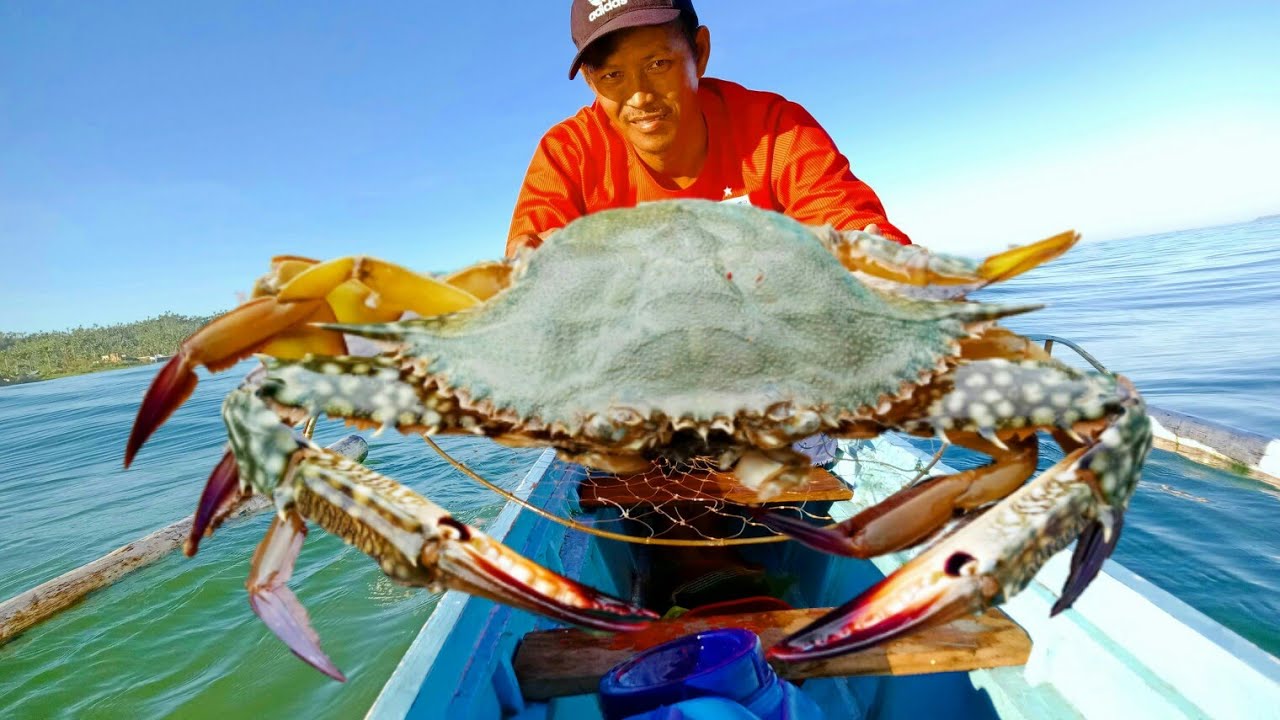 MABISANG PANGHULI NG ALIMASAG AT ALIMANGO | HOW TO CATCH CRAB - YouTube