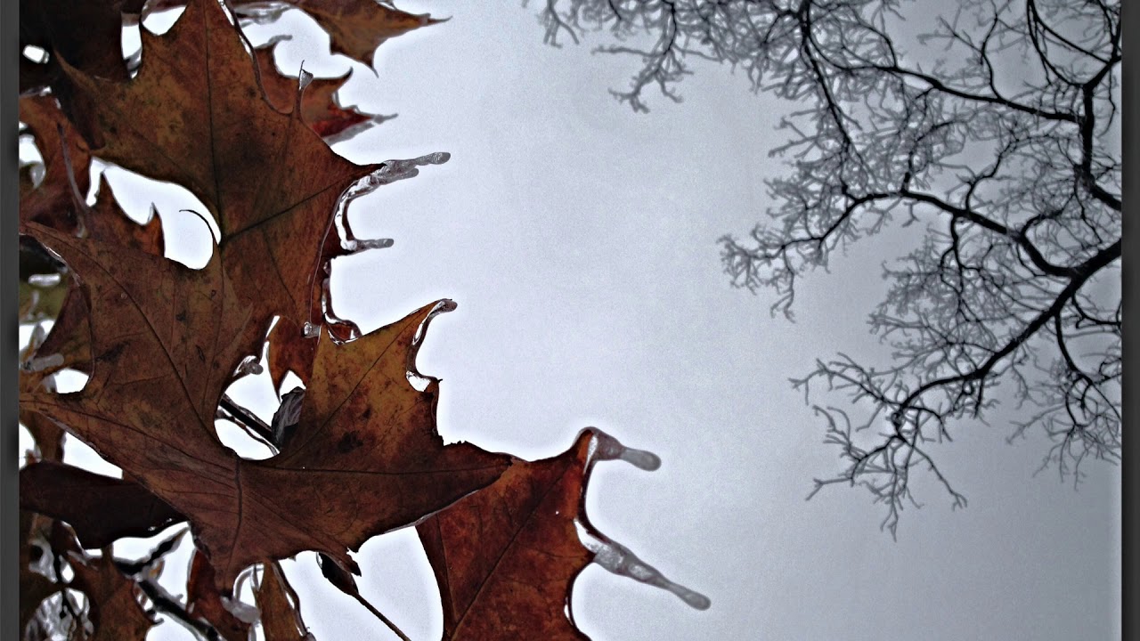 Tyla Taylor Christmas with Photographs by Tyla Taylor - YouTube