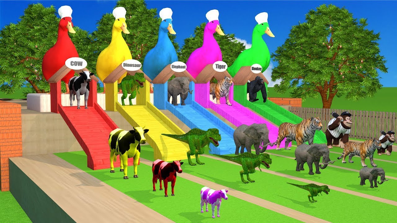 Choose The Right Cage Game With Tiger Lion Gorilla cow Buffalo Wild ...