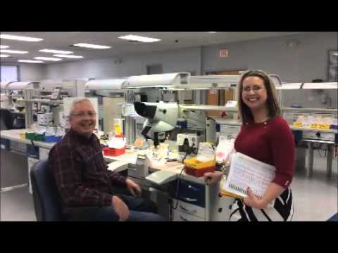 LMT Lab Showcases: Triad Dental Studio - YouTube