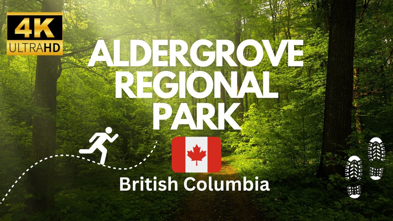 Aldergrove Regional Park trails for biking, hiking or horses & picnic ...