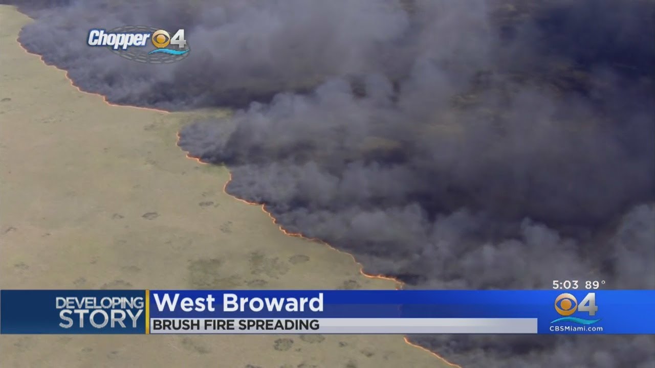Brush Fire Spreads Across Florida Everglades - YouTube