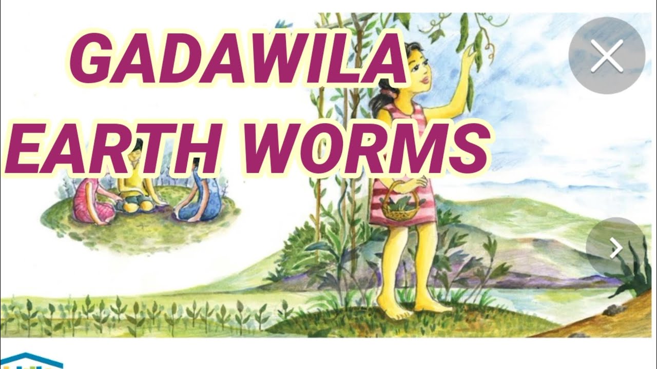 reading campaign kahani Gadawila Earthworm for class 6, 7, 8 # ...