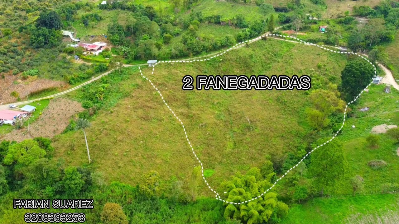 2 FANEGADAS A 7 KM DE FUSAGASUGA CUNDINAMARCA - YouTube