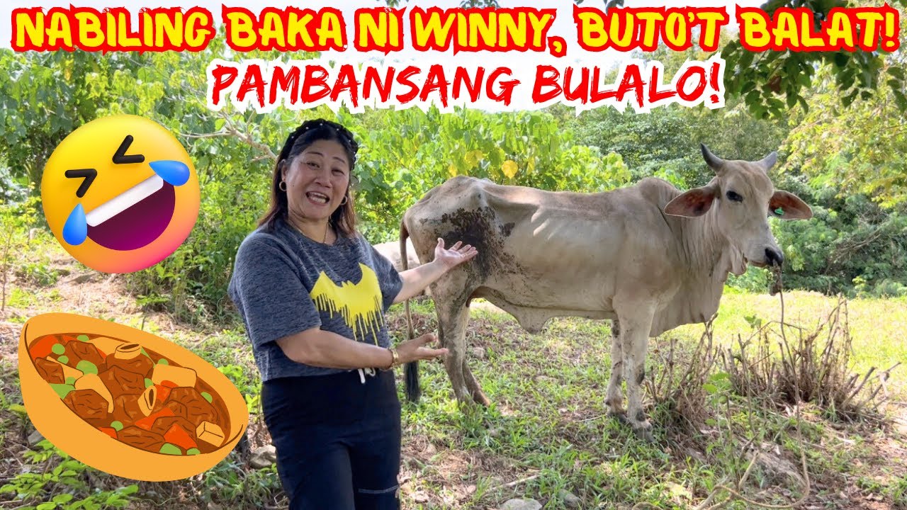 NABILING BAKA NI WINNY, BUTO’T BALAT! PAMBANSANG BULALO! | SOLLE'S ...