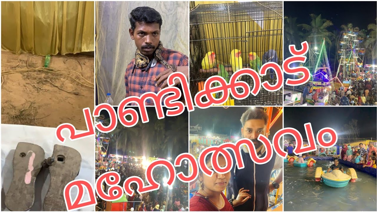 Pandikkad Fest 2023 #festival #carnival #pandikkad #food #trending # ...