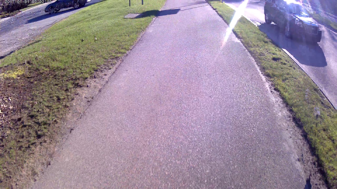 Ran over a squirrel while riding my e-bike - YouTube