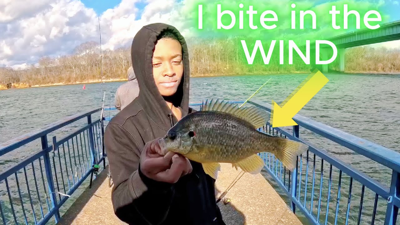 GREAT TECHNIQUE to CATCH MULTIPLE FISH in 30 MPH WINDS! - YouTube