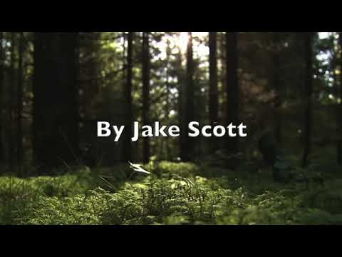 Jake Scott - tuesdays (lyrics video) - YouTube