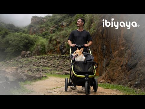 The ultimate sporty stroller for you to run with your dog ｜The Beast Pet Jogging Stroller