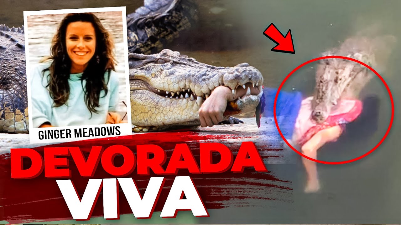 El Ataque de Cocodrilo Más Brutal Jamás Registrado - YouTube