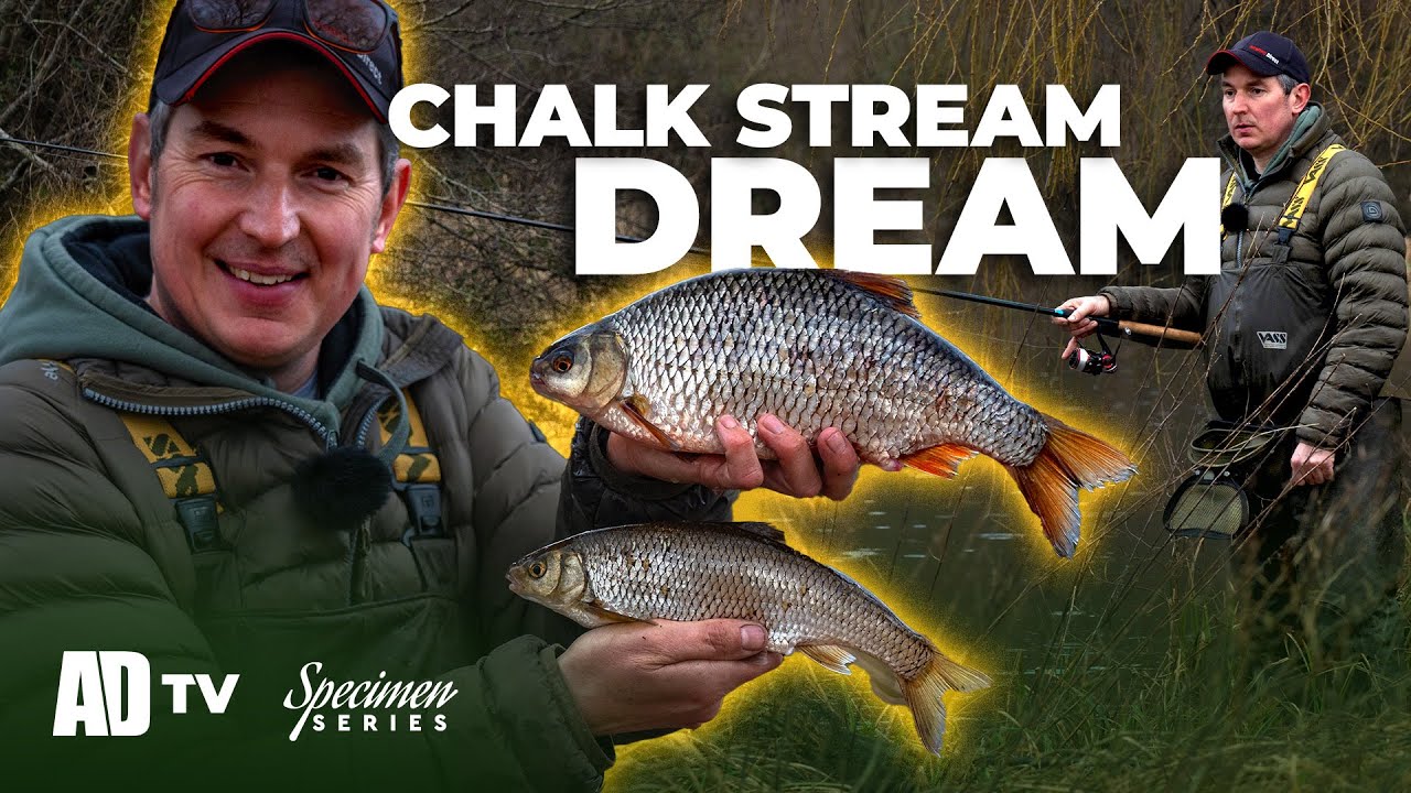 Winter Trotting - Phil Spinks Specimen Series - Roach, Dace & Grayling ...