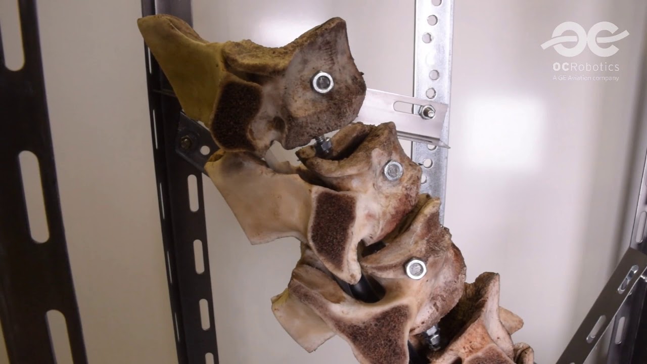 Miniaturised Snake Robotics for Spinal Cord Removal Prior to Splitting ...