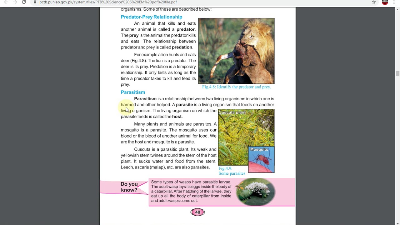 SCIENCE 6 (PCTB / EM) UNIT 4 ENVIRONMENT & INTERACTIONS LECTURE 5 ...