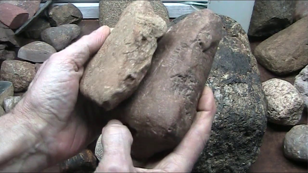 Mudfossil Giant Biology Explained - YouTube