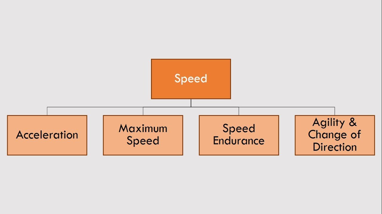 The 4 Pillars of Strength & Conditioning Training | Speed - YouTube