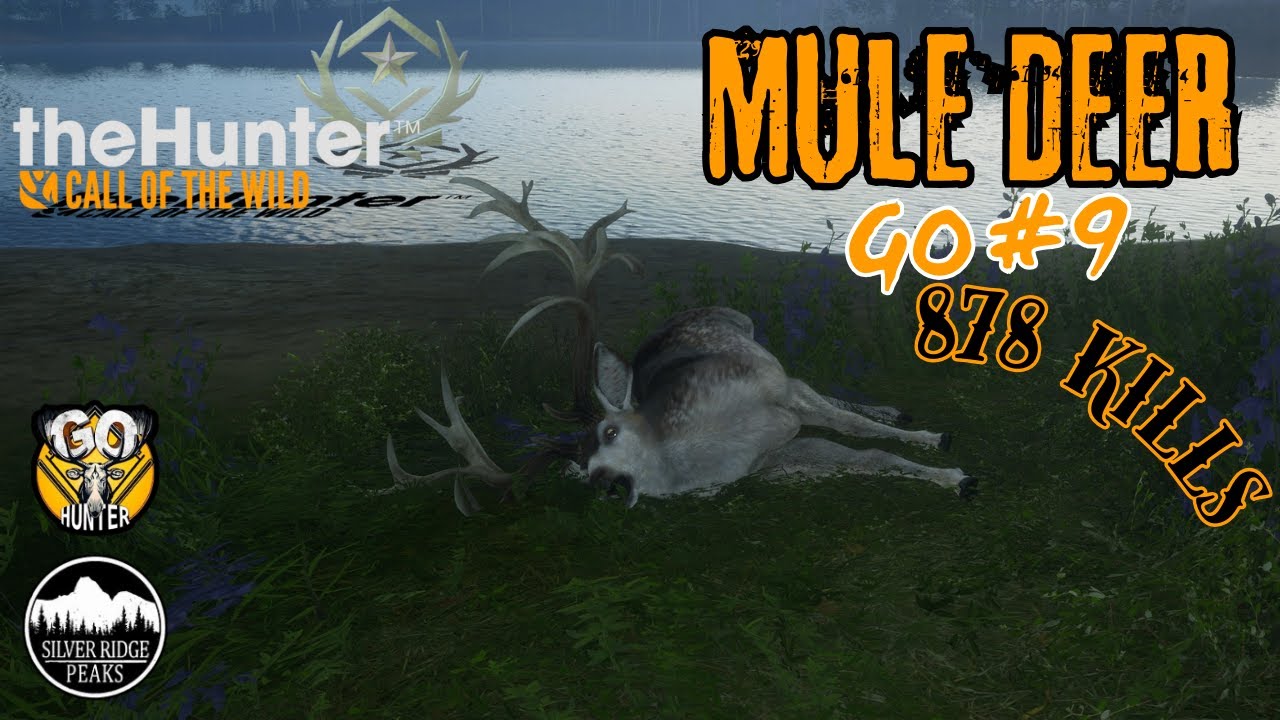 Great One Mule Deer Cobweb Enigma / Typical Rack!! - YouTube