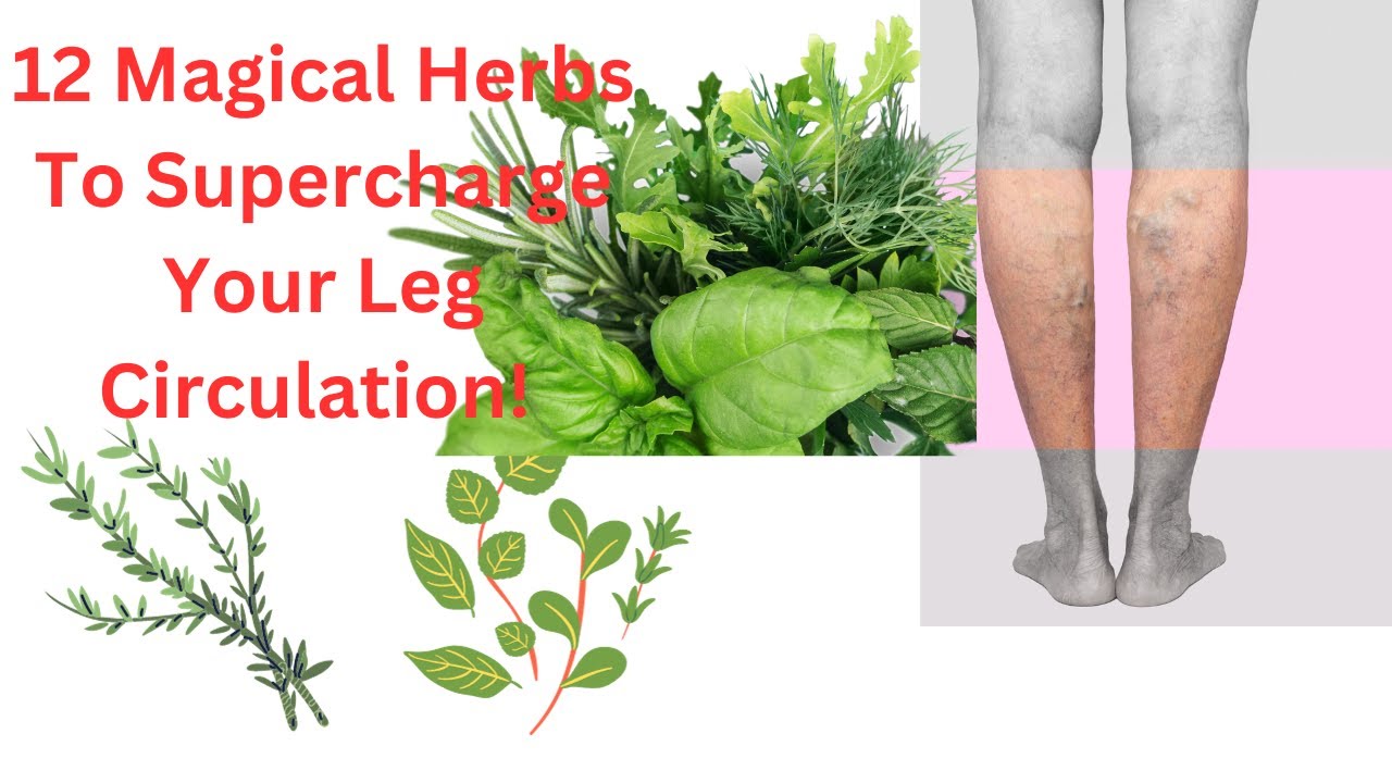 "12 Ancient Herbs to Supercharge Your Leg Circulation – Are You at Risk ...