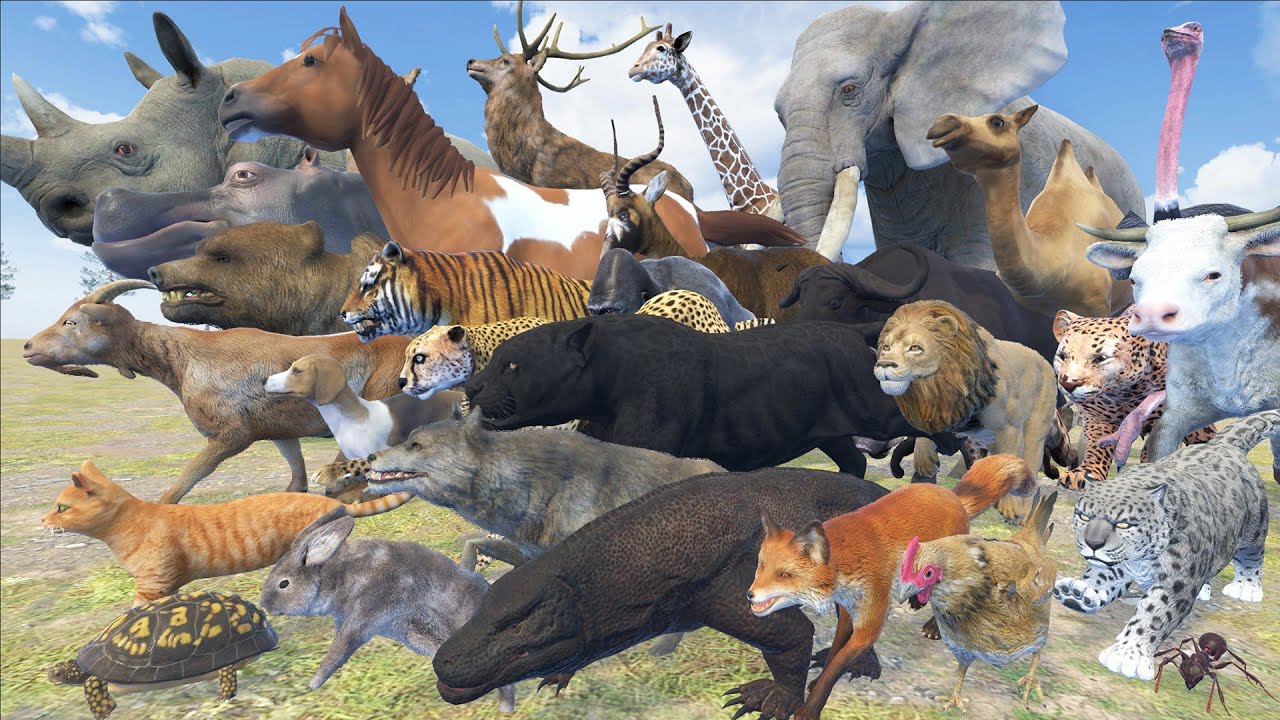 Terrestrial Animal Speed Comparison in 3D Animation | Realistic World ...
