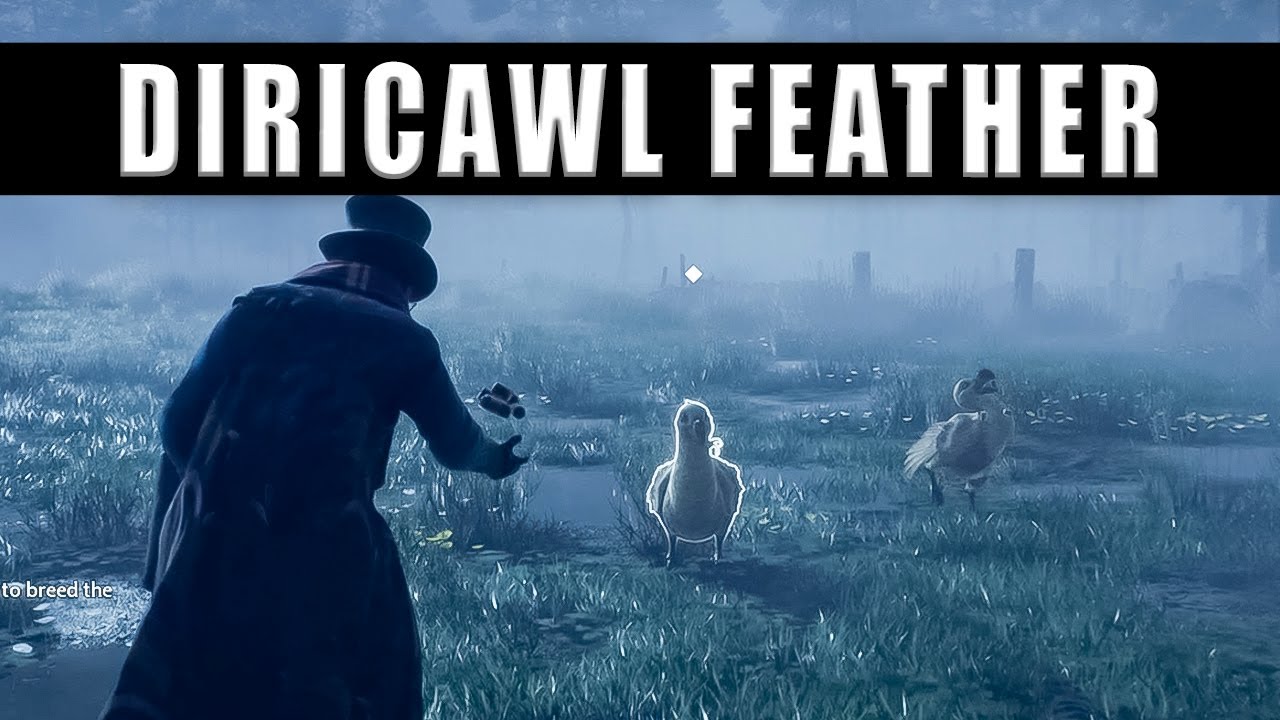 Hogwarts Legacy Diricawl Den location - How to get Diricawl Feather ...