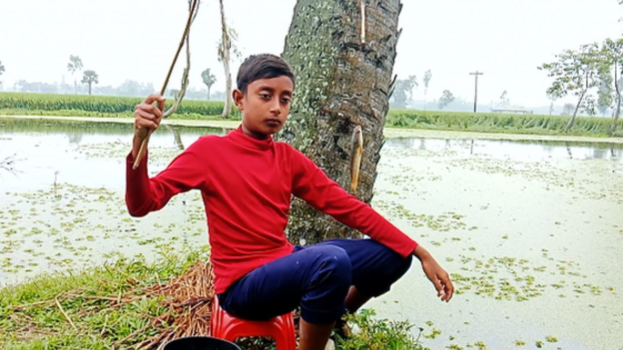 Rural peace alive | hook lays quiet in dreamlike pond - YouTube