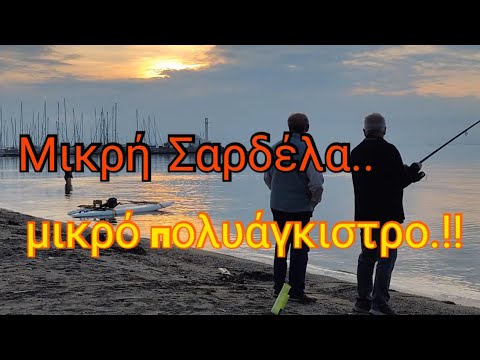 Μικρή Σαρδέλα, μικρό πολυαγκιστρο..!! - YouTube