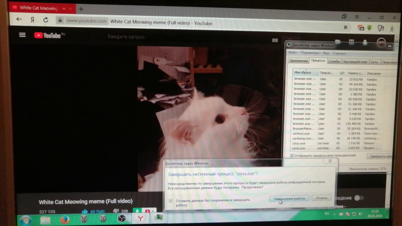 White meowing cat meme for BSOD - YouTube