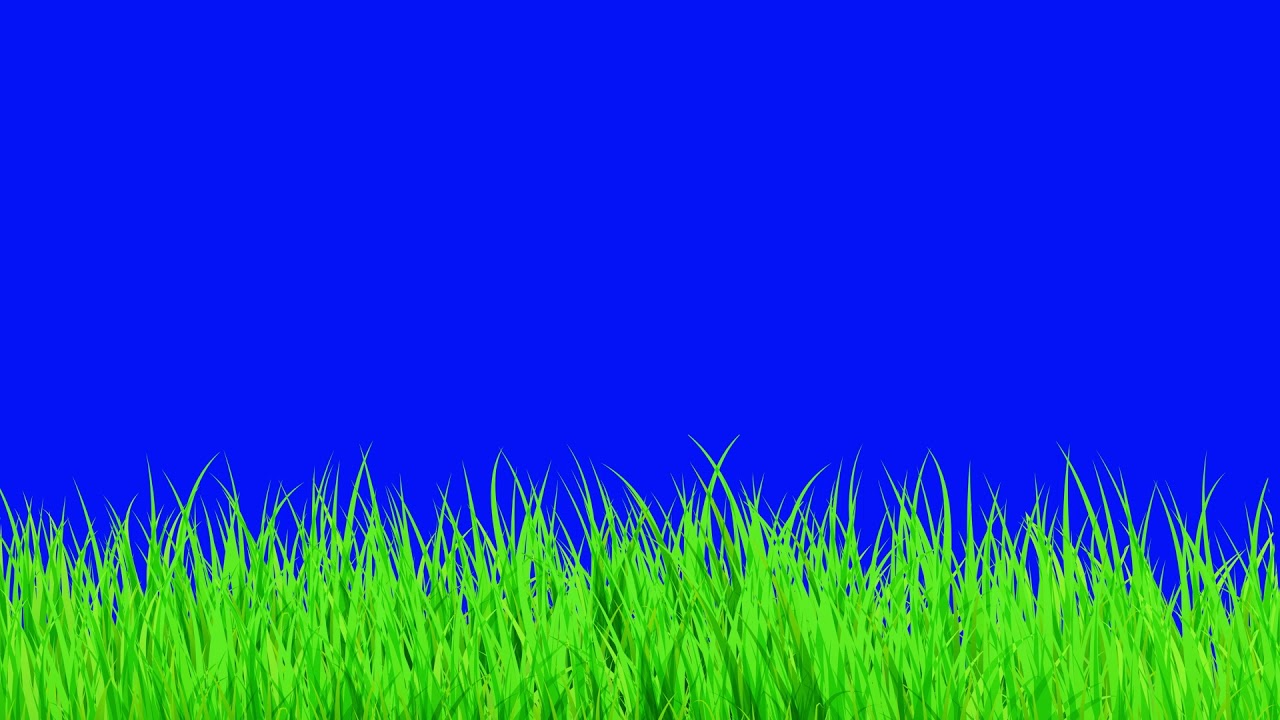 Waving Grass | blue screen animation footage - YouTube