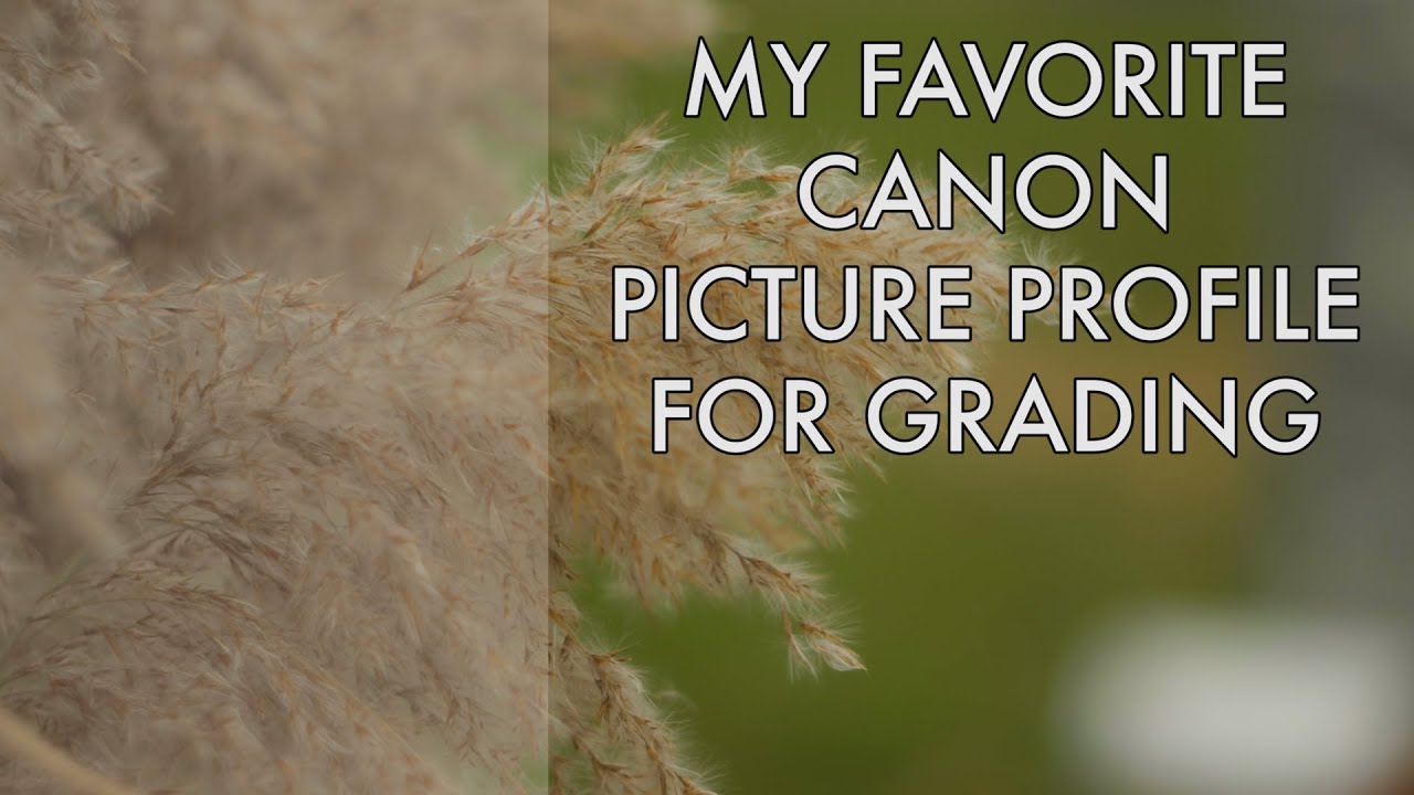 BEST CANON PICTURE PROFILE FOR GRADING WITH TEST FOOTAGE - YouTube