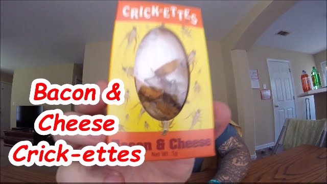 Bacon & Cheese Crick-ettes (Crickets) - YouTube