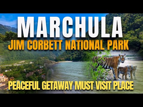 Monsoon Vacation | Marchula, Jim Corbett National Park | LaTigre Resort Corbett | Resorts In ...