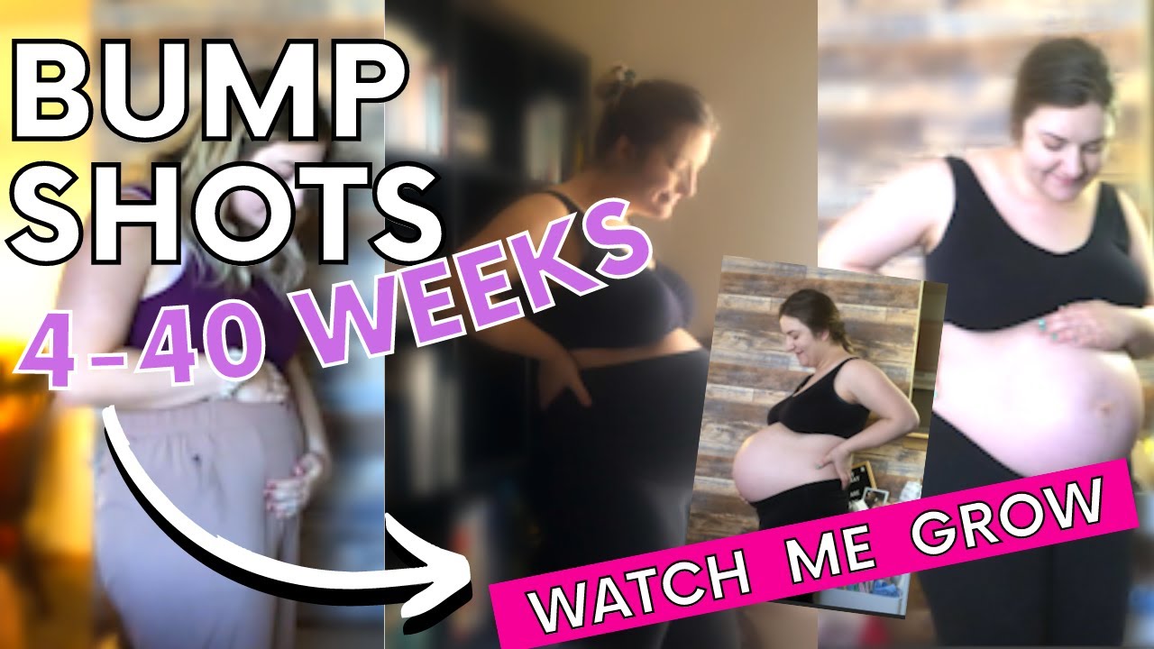 Pregnancy BUMP PROGRESSION ( WEEKS 4-40 ) | Growing a baby from 0-10 ...