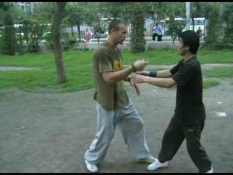 Bagua Zhang Applications: Master Han Yanwu DVD