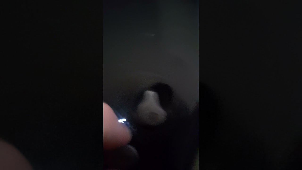Soundpeats H1 Left Earbud Not Working YouTube soundpeats-h1-left-earbud-not-working-youtube