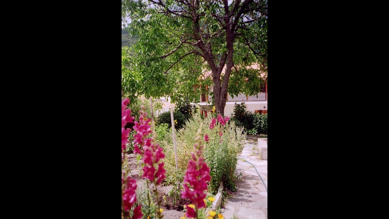ΓΚΡΕΜΙΣΜΕΝΑ ΣΠΙΤΙΑ - ΓΙΑΝΝΗΣ ΠΟΥΛΟΠΟΥΛΟΣ - YouTube