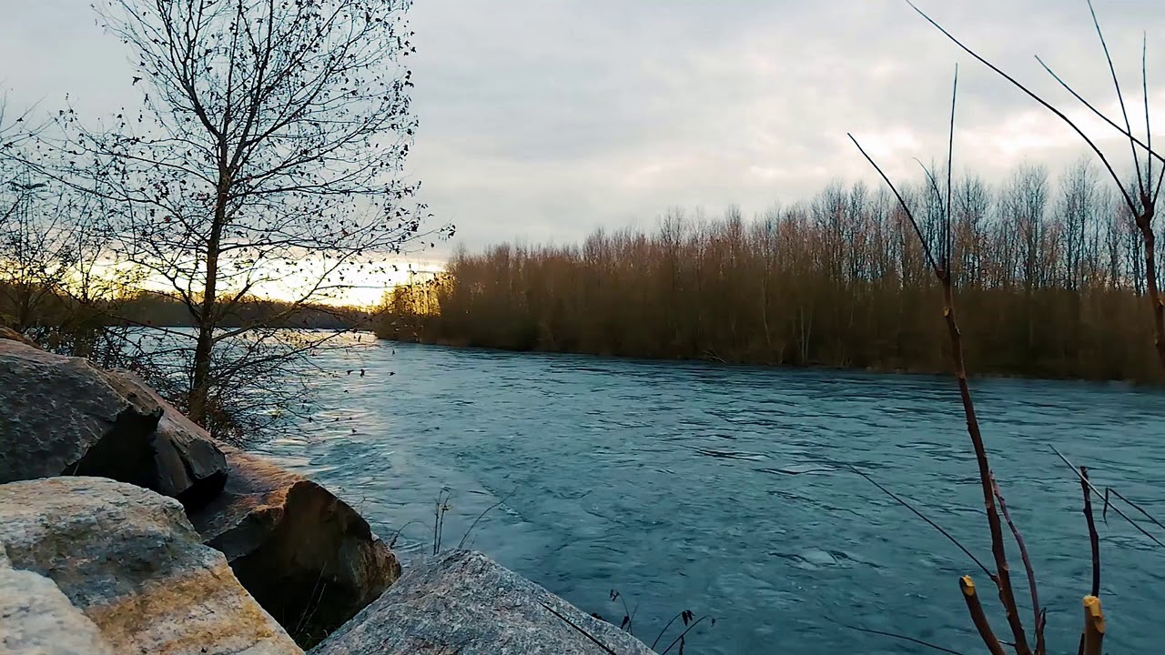 Relaxing and Soft River Water Flowing Sounds With a Beautiful River ...