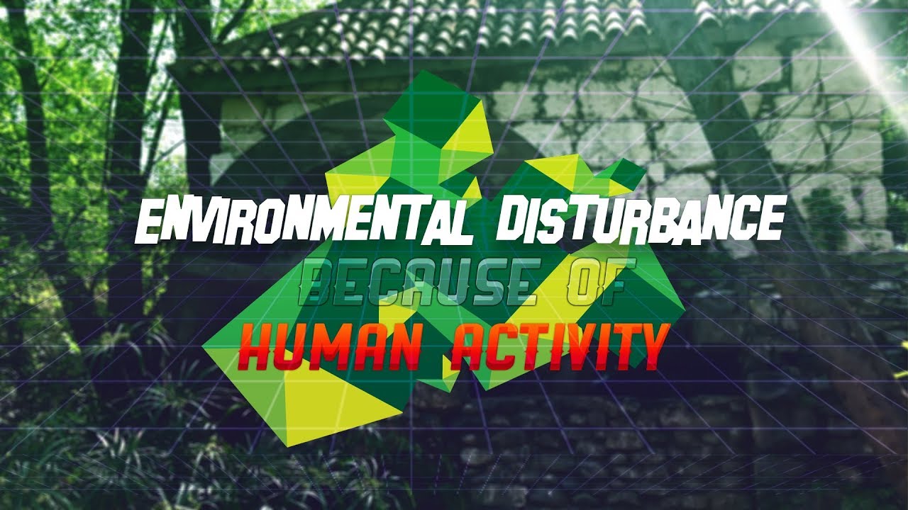 Environmental disturbance because of human activity - Chemistry - YouTube