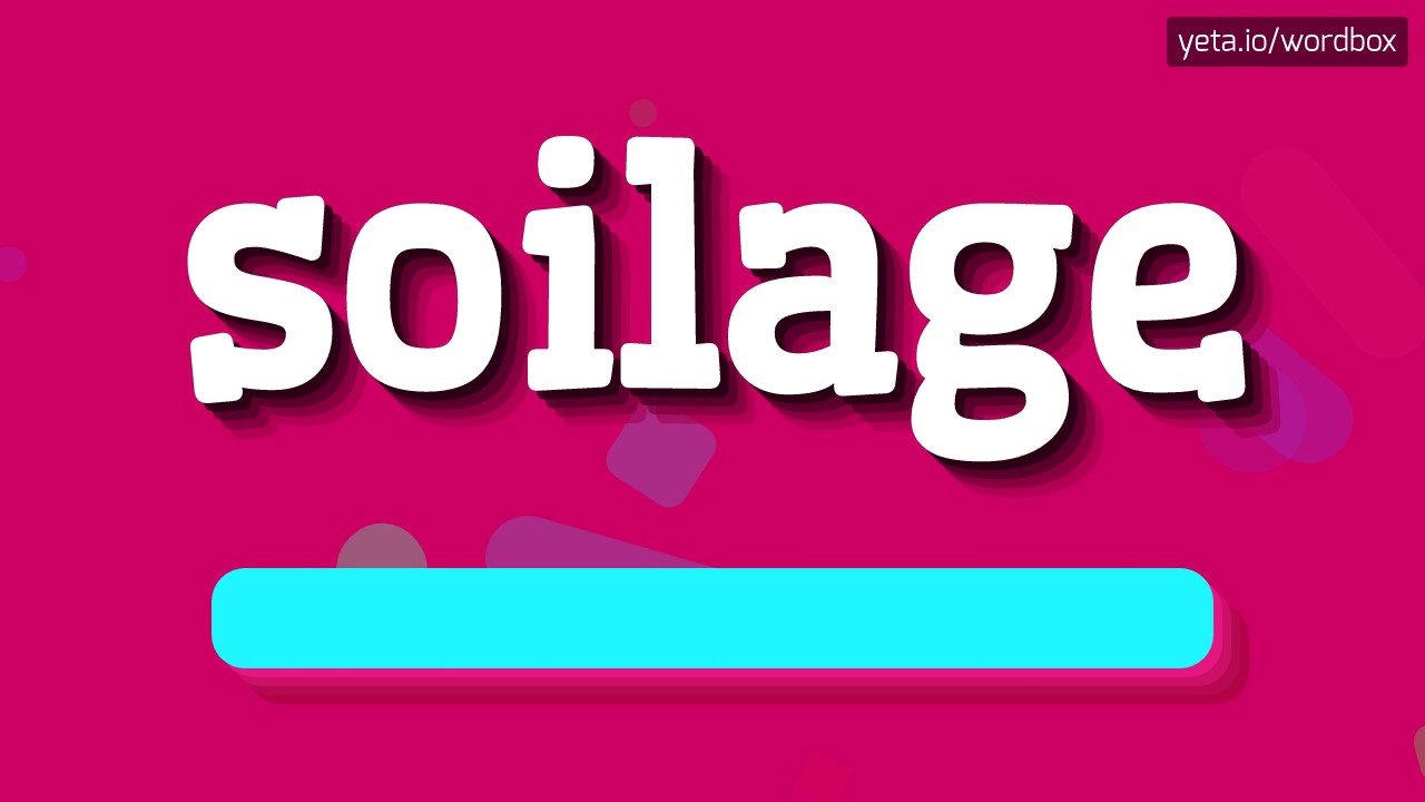 SOILAGE - HOW TO PRONOUNCE SOILAGE? - YouTube