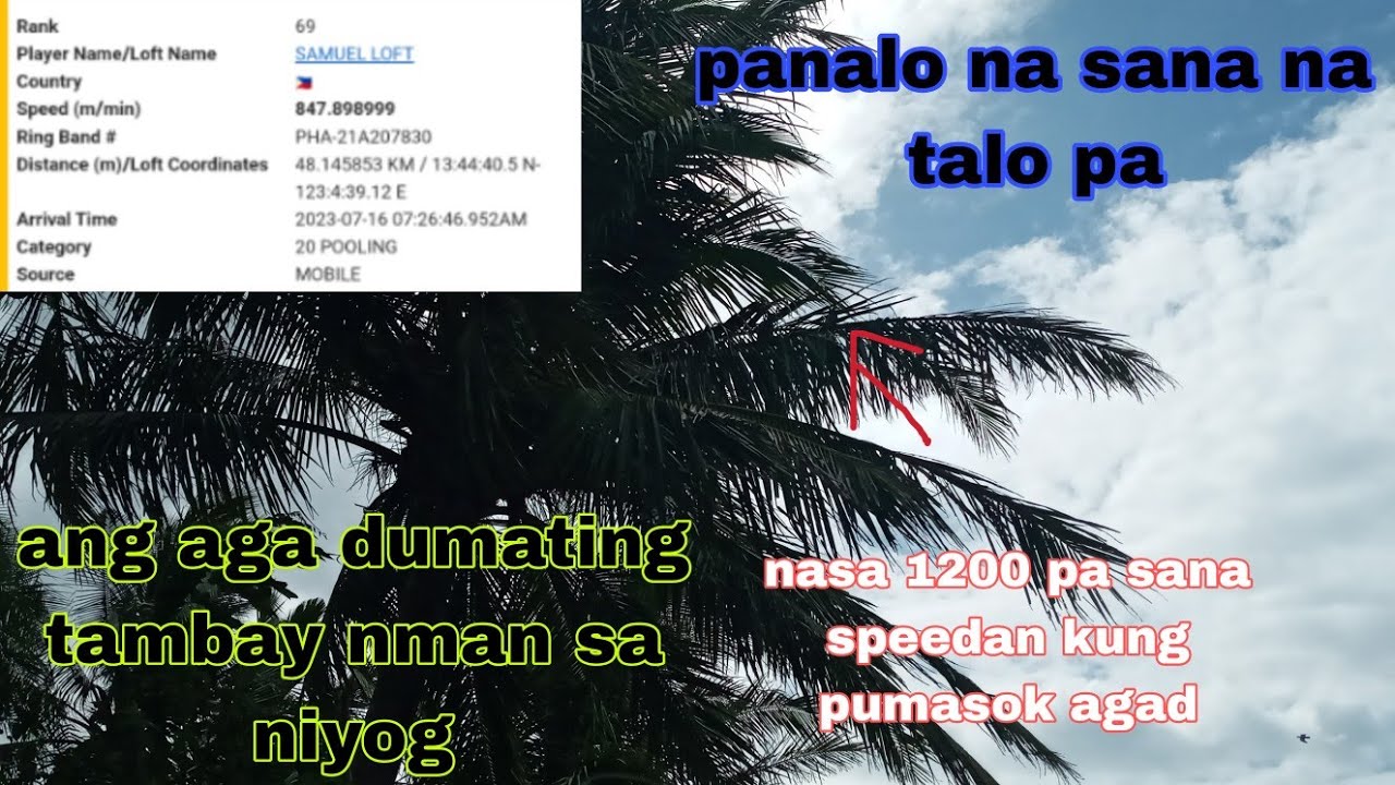 07/16/23/ Balatan camsur 4th training ng club ng PPFCI...🕊🕊 - YouTube