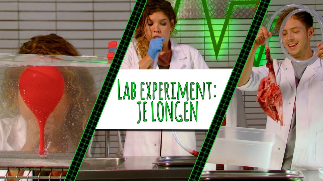 HOE WERKEN JE LONGEN? - LAB EXPERIMENT - YouTube