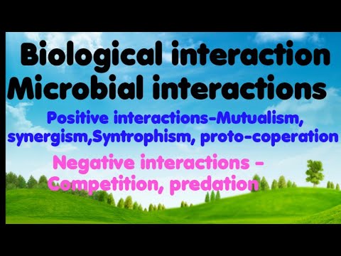 Biological interaction|Microbial interaction|Positive & negative ...