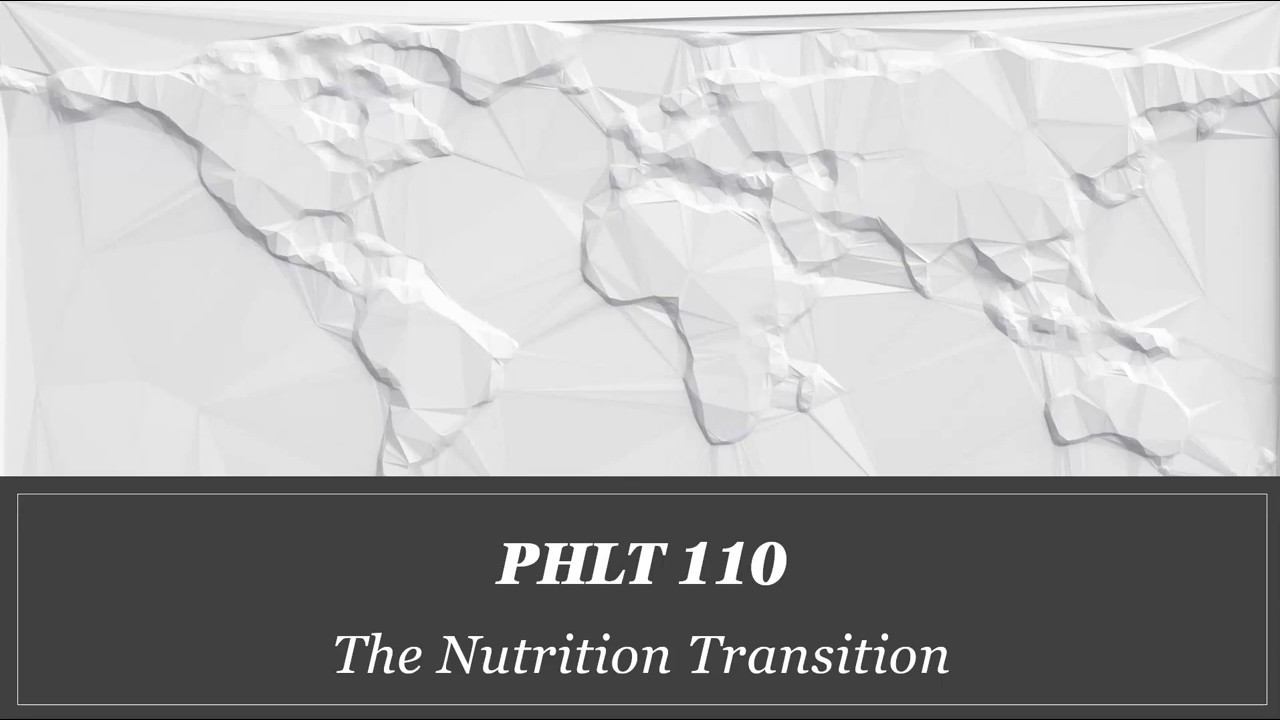 The Nutrition Transition Model - YouTube