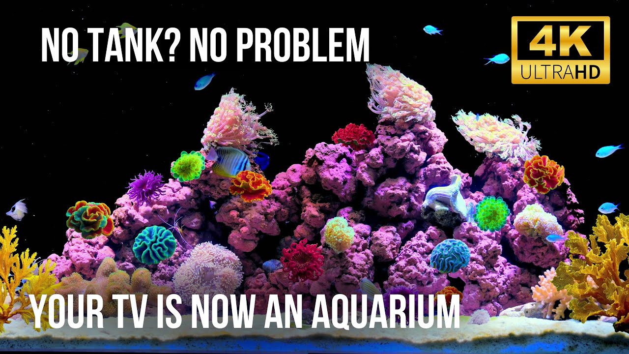 🐟 Hypnotic 4K Fish Tank | Ice-Clear Visuals & Gentle Bubbles for Focus ...