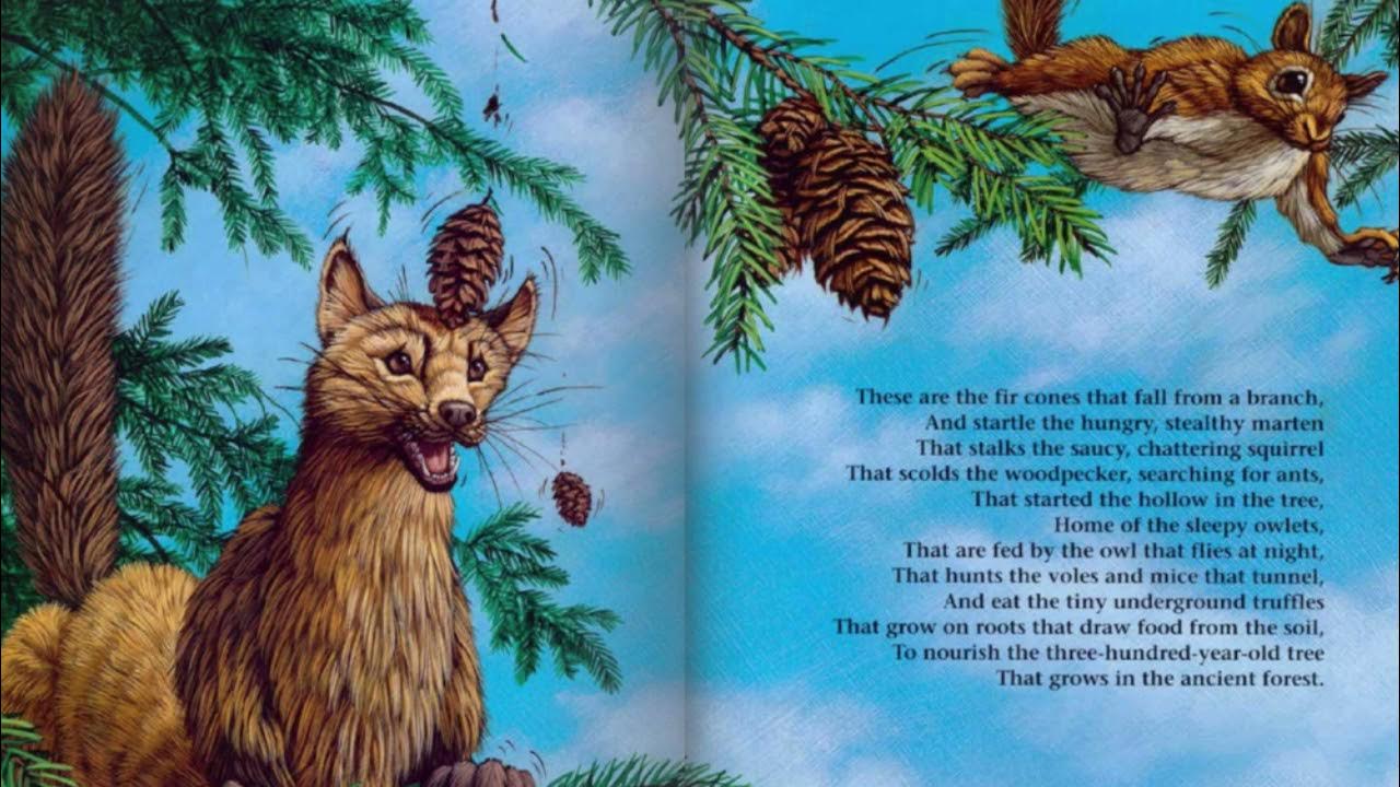 Storytime: "The Tree in the Ancient Forest" by Carol Reed-Jones - YouTube