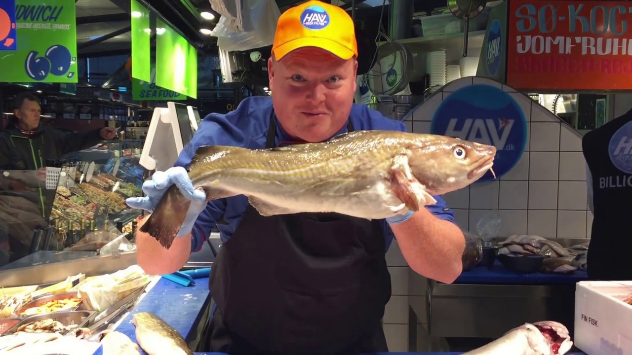Dansk fisk: Torsk - YouTube